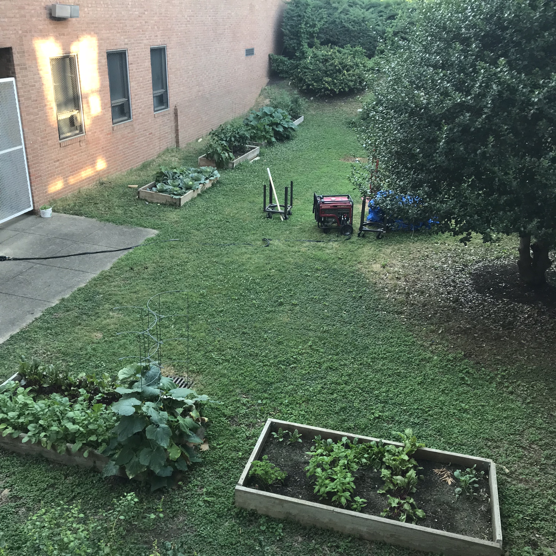 2018 – Year In Review – SW Gardens